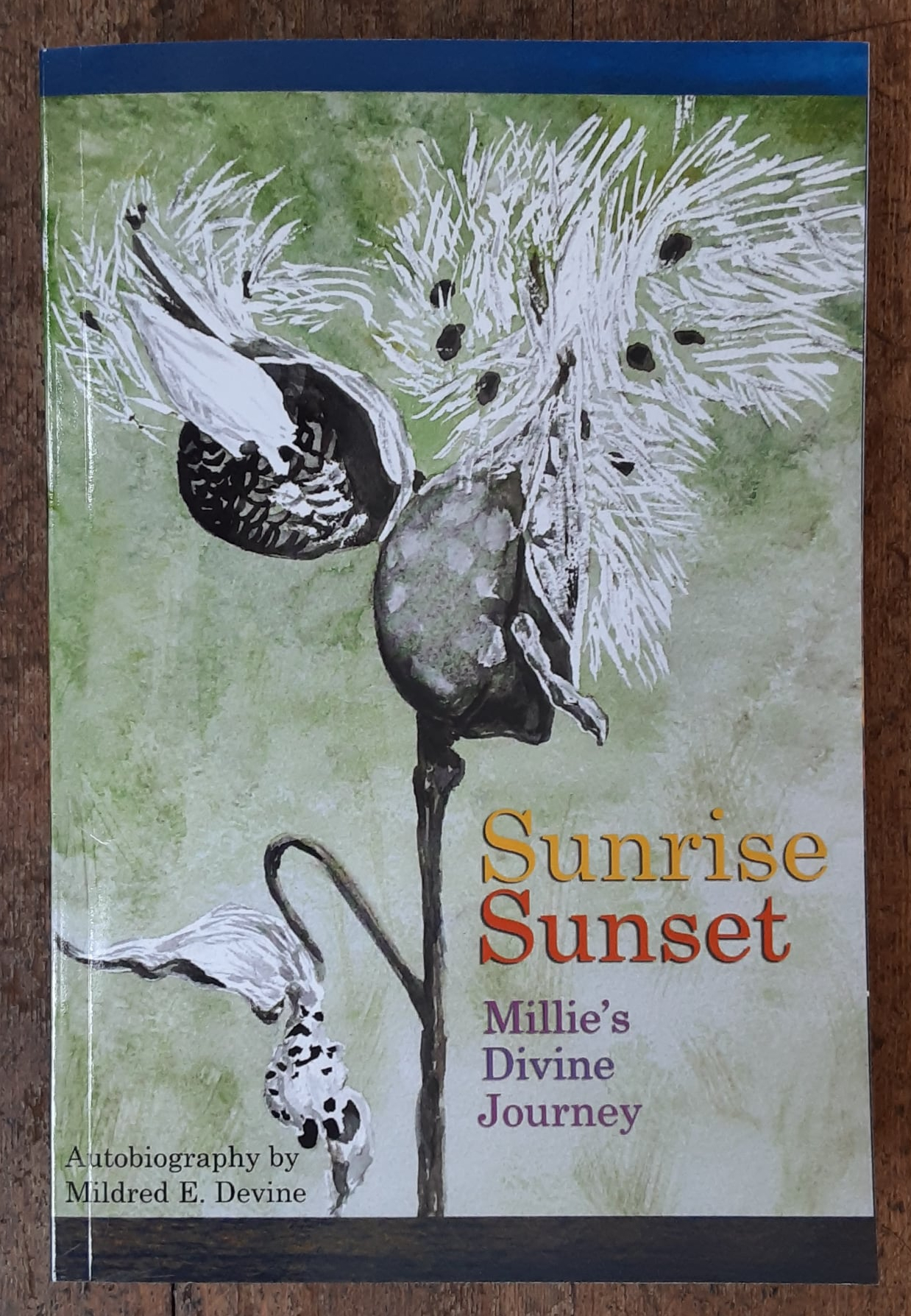 Sunrise Sunset Mille’s Divine Journey – Studio 33 Art & Frame Gallery